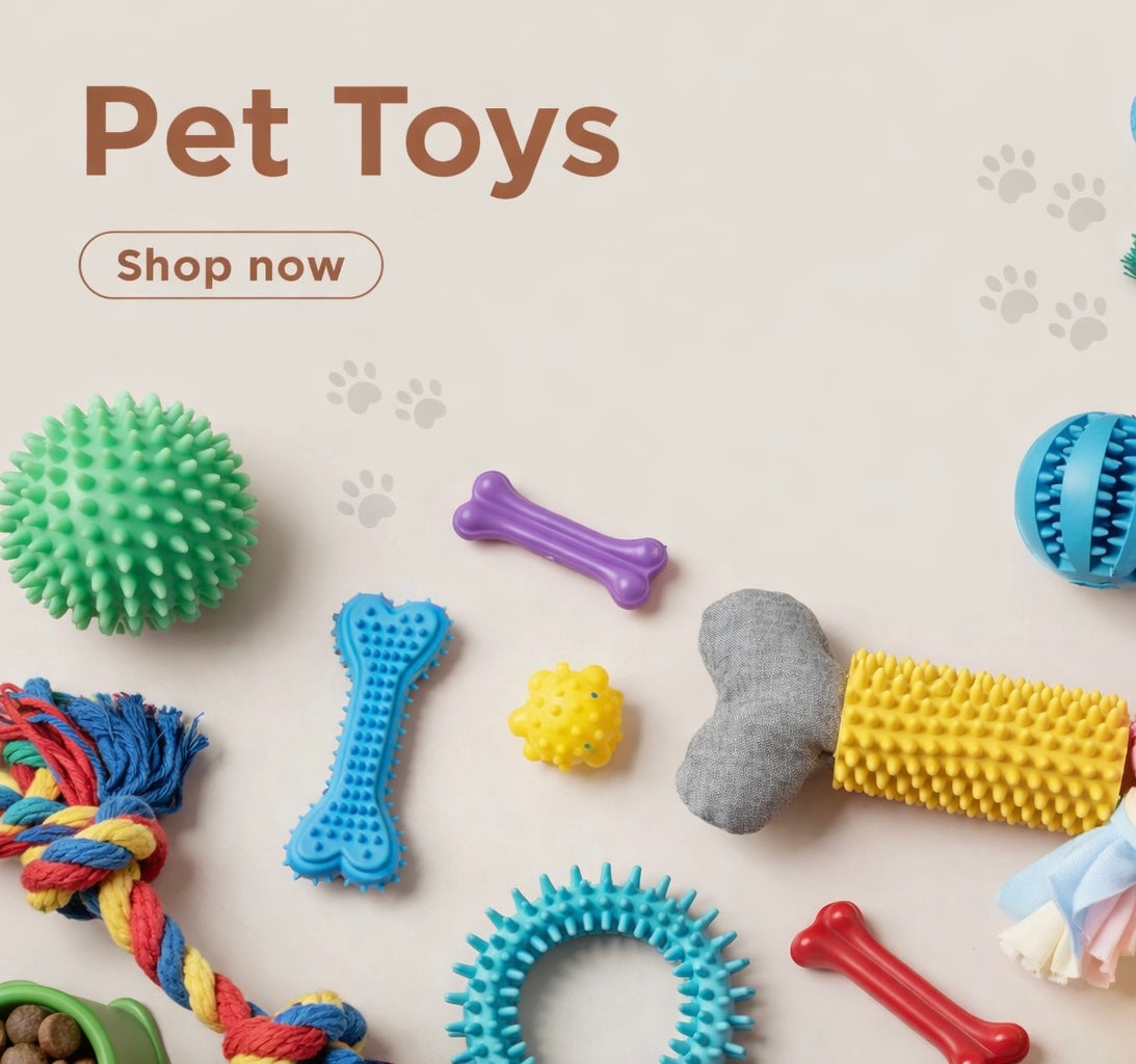 Fetch & Fun – Arix Supplies